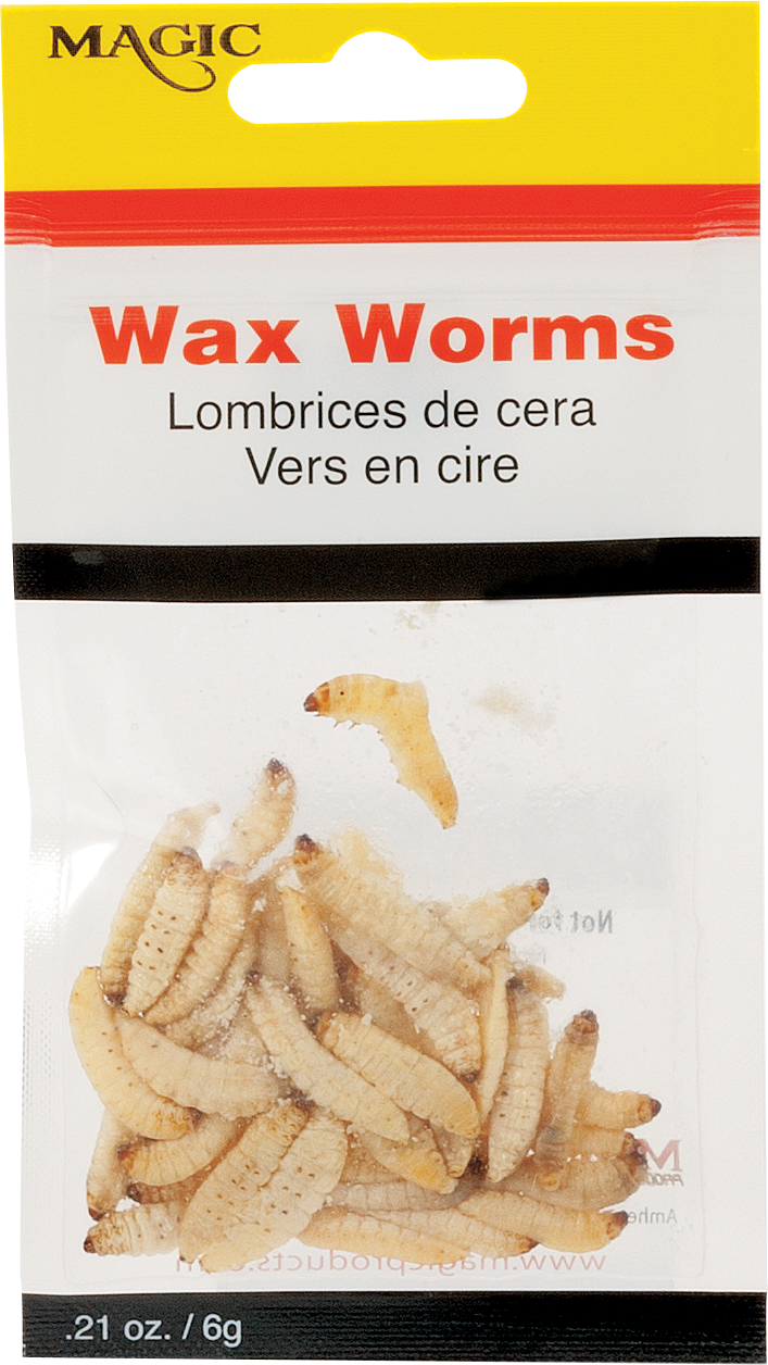 Magic Preserved Wax Worms | Mack's Prairie Wings